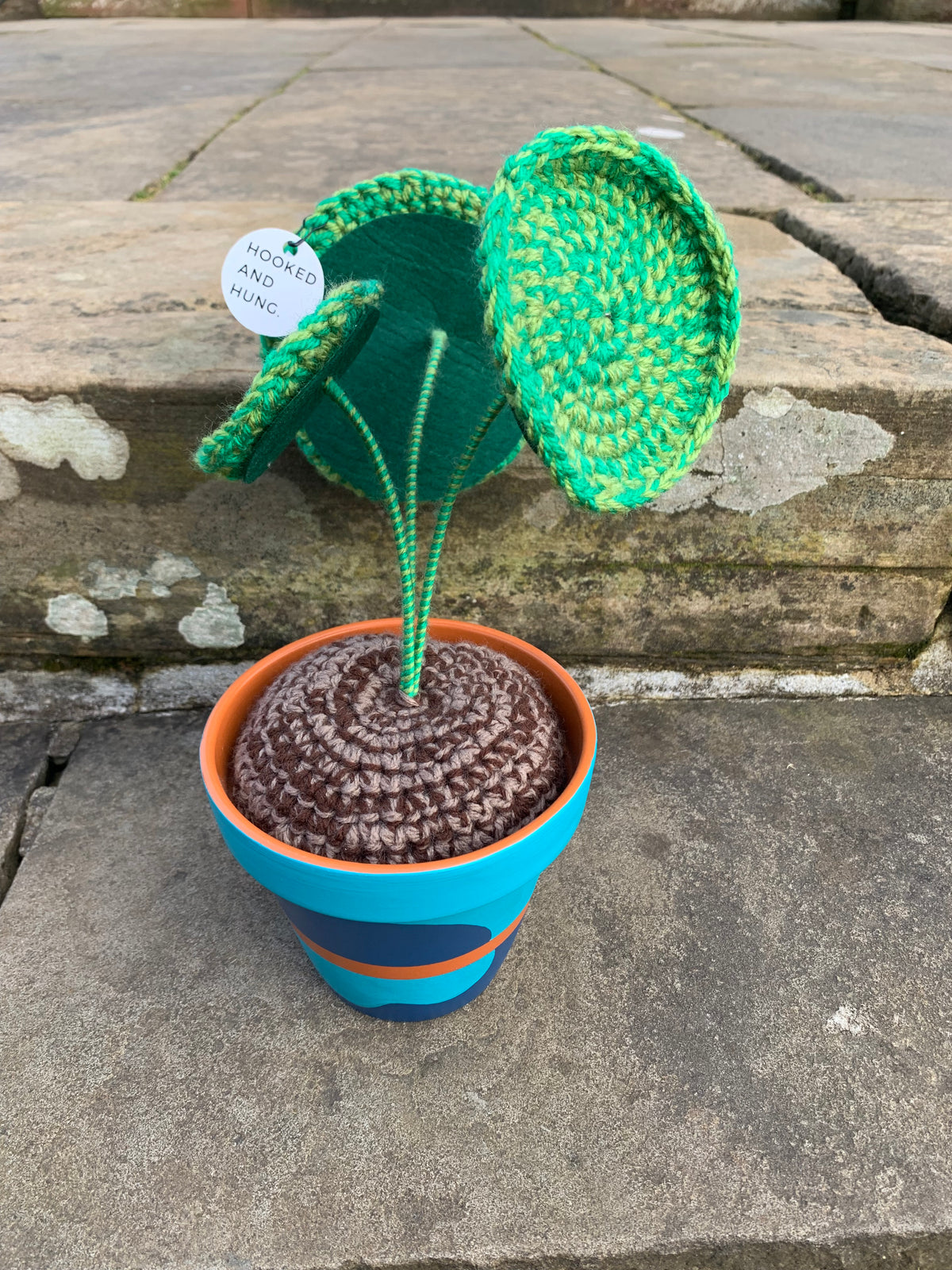 Hooked and Hung Crochet Pilea houseplant in hand painted pot — Judith Glue