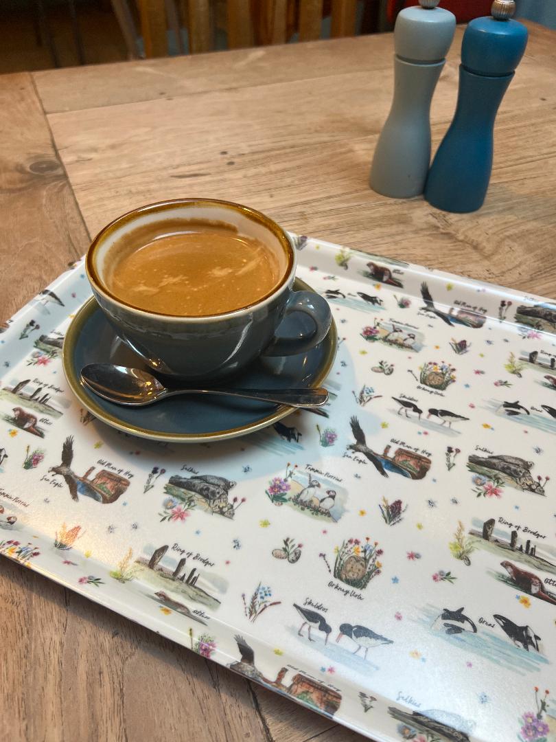 Sarah Leask Orkney Wildlife Large Tray — Judith Glue