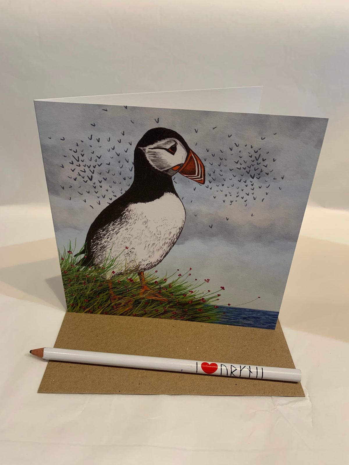 Cherith Harrison Puffin on Cliff Card — Judith Glue