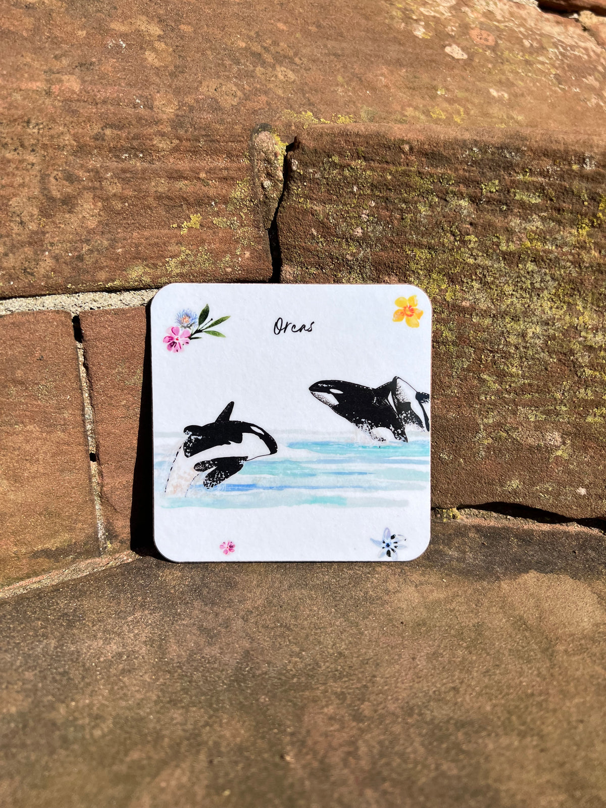 Sarah Leask Orkney Wildlife Orca Coaster — Judith Glue